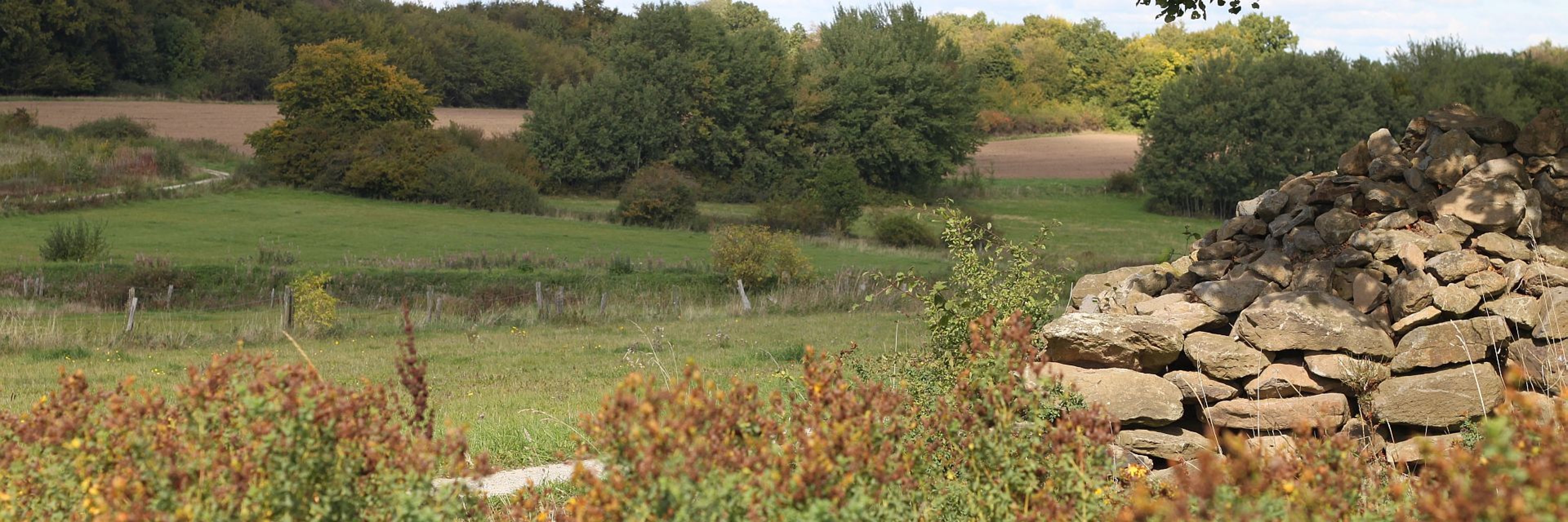 Freizeit & Tourismus | Gemeinde Hosenfeld